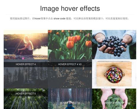 16种bootstrap Css3制作悬停图片动画特效