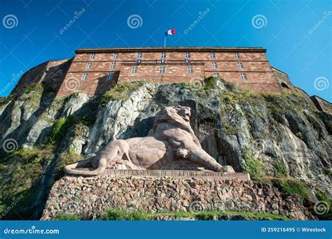 Closeup Of The Lion De Bartholdi Sculpture In Belfort France