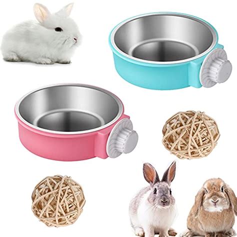 Best Food Bowls For Rabbits Top Picks For Happy Healthy Pets Vet