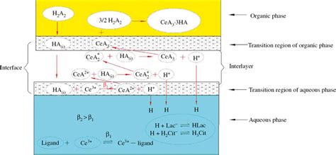 Model Of The Extraction Interface Download Scientific Diagram