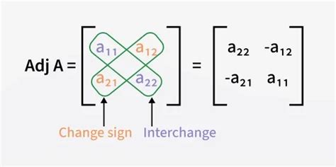 Adjoint Of A Matrix Geeksforgeeks