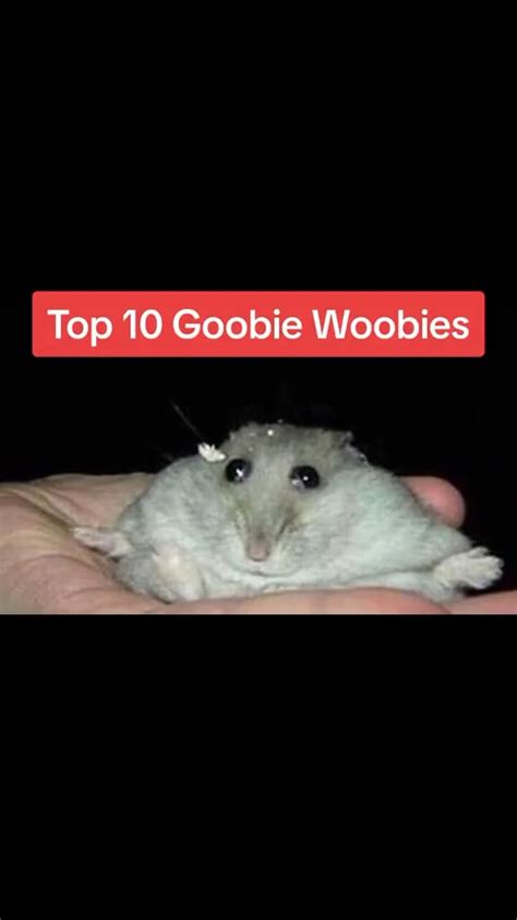Top 10 Goobie Woobies R Tuvington