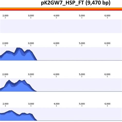 Coverage Plots Based On Short Read Mappings To The T Dna Vector Download Scientific Diagram