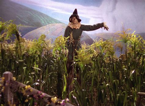 The Wizard Of Oz Scarecrow Scare Crow Wizard Of Oz The Wizard Of Oz