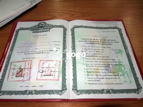 Малчдыг мэргэжлийн үнэмлэхтэй болгох ажил 91 хувьтай байна