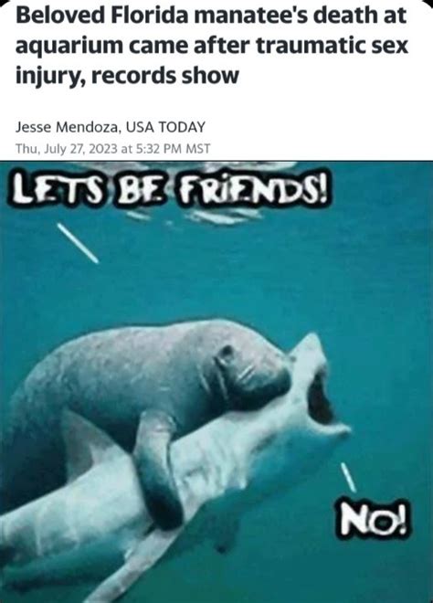 Latest Memes Memedroid