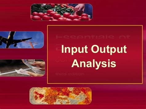 input output analysis by roni bhowmik
