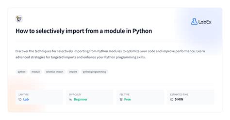 How To Selectively Import From A Module In Python Labex