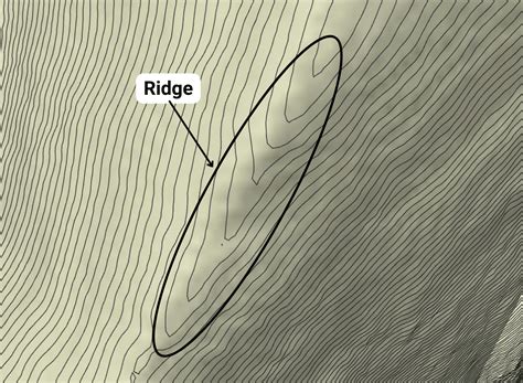 Features Of A Topographic Map Equator