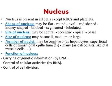 SOLUTION Structure And Functions Of Cell Nucleus Studypool