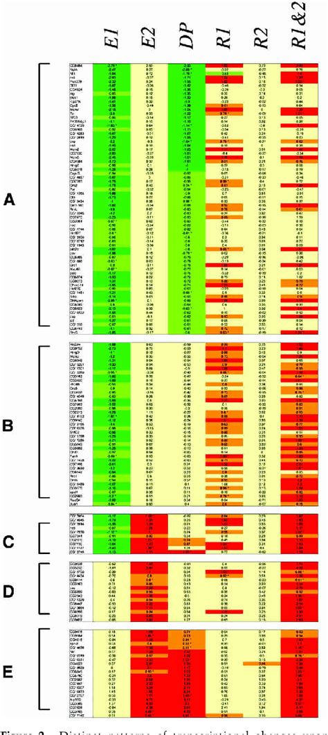 Figure 2 From Cell Cycle Dependent And Cell Cycle Independent Control Of Transcription By The