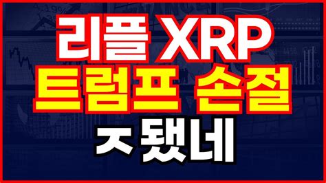 리플 와 지금 타이밍에 Youtube