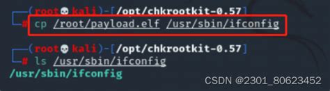 使用chkrootkit对系统进行rootkit扫描 csdn博客