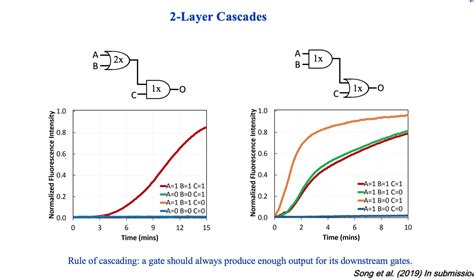 Fast And Compact Dna Logic Circuits