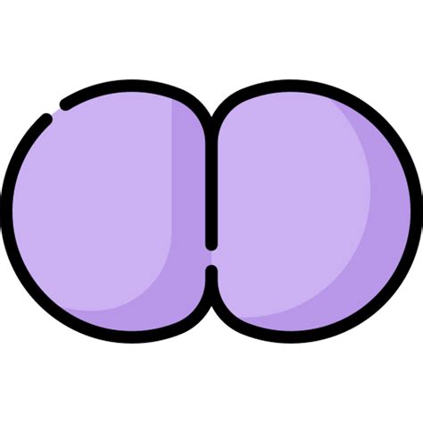 Streptococcus Free Education Icons