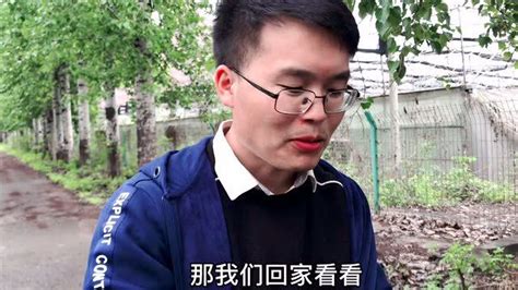 杨树叶杨柳科杨属植物搜狗百科