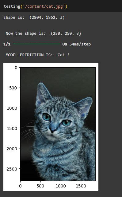 Deeplearning Cnn Imageclassification Machinelearning Ai Pratham