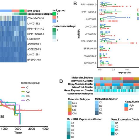 Prognostic Value Of These Immune Related Lncrna A Forest Plot Showing