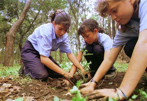 Earth Day Definition Environmentalism History Facts Britannica