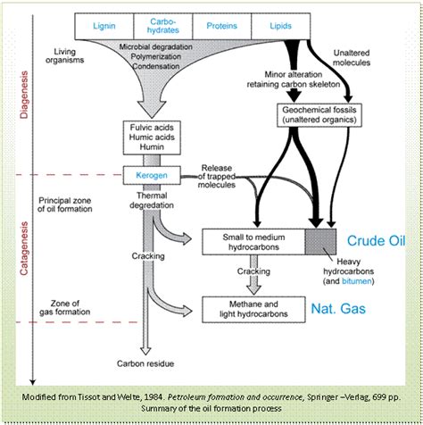 Formation Of Coal Flow Chart