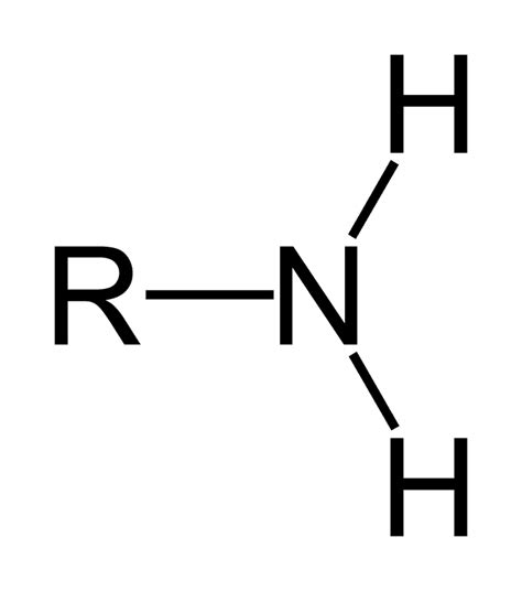 Structural Diagram Of Amine Amine Tertiary Amines Nomenclatu