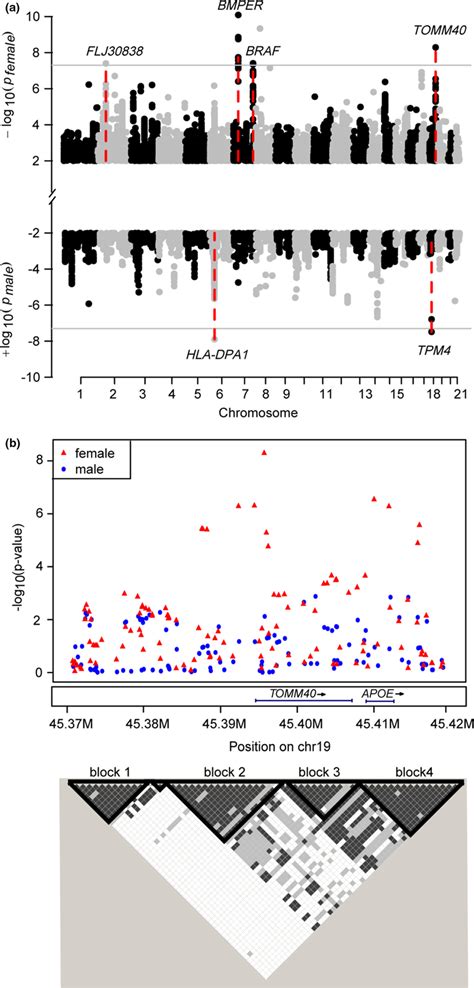 Sex Differences In Genetic Associations With Longevity A Manhattan
