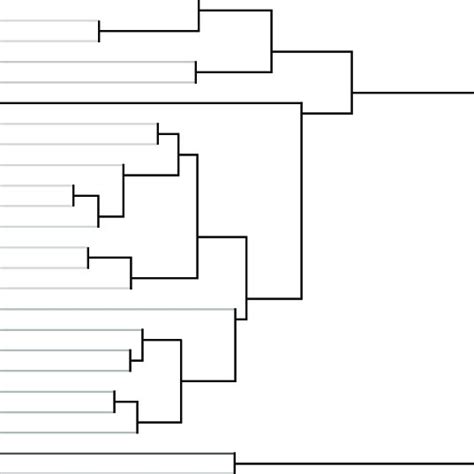 Cluster Analysis Dendrogram Average Linkage Method Plotting