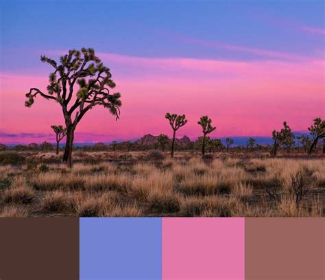 Joshua Tree Desert Sunset Color Palette Sunset Color Palette Sunset Colors Color Palette