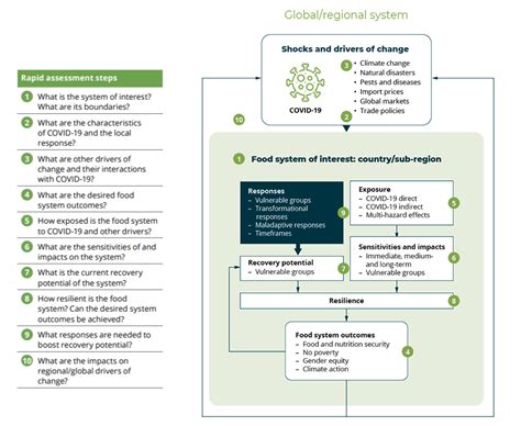 2 Analytical Framework