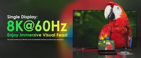 Thunderbolt 4 Dock Wavlink Docking Station With Dual 4k 60hz Monitors Four Thunderbolt 4 Ports