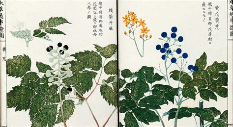 所有资源 书格旧版 第 110 页
