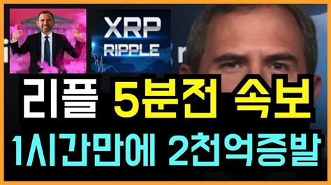 리플 코인 1시간만에 2천억이 증발한 이유 리플목표가 리플호재 리플전망 리플코인목표가 리플코인호재 리플코인전망 Youtube