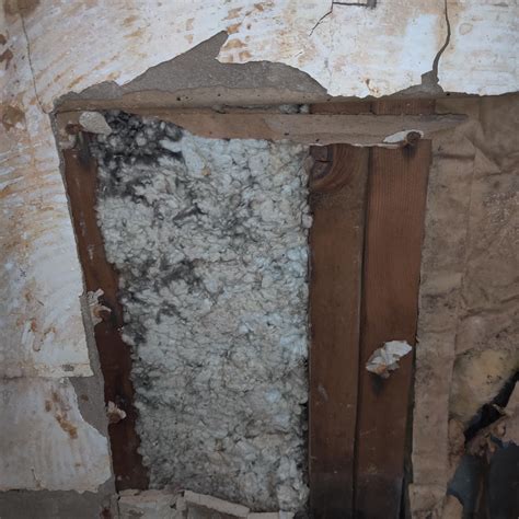 Help Identifying Insulation Rinsulation