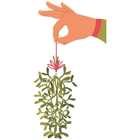 Mistletoe Berries Cartoon