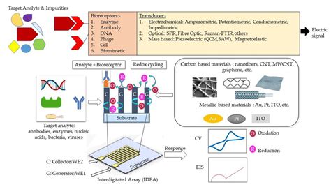 Features In Interdigitated Electrode Array Encyclopedia Mdpi