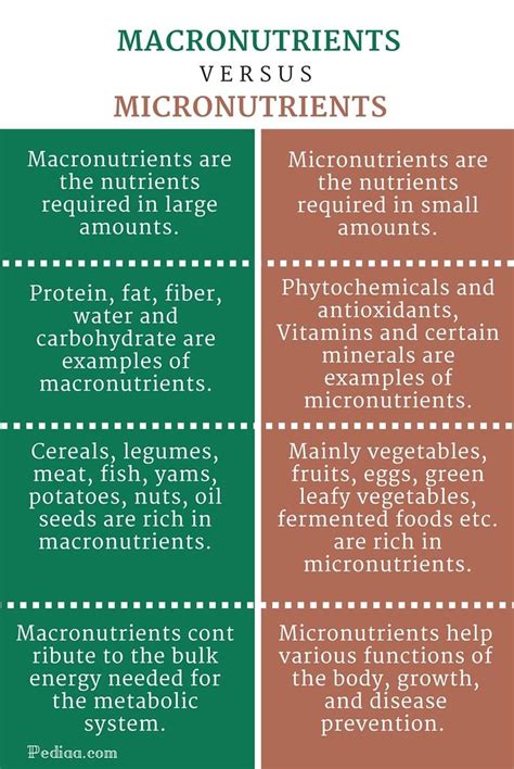 Difference Between Macronutrients And Micronutrients Micronutrients