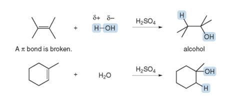 Exam 3 Organic Chemistry Flashcards Quizlet