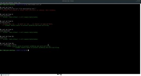 Cum Să Depanați Scripturile Linux Bash Cu Shellcheck
