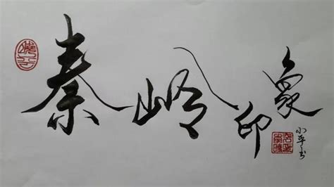 陝西秦嶺印象文化旅遊有限公司 每日頭條
