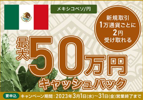 【セントラル短資fx】メキシコペソ円の新規取引で最大500000円キャッシュバック：マピオンニュース