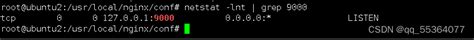 ubuntu安装nginx以及php的部署 ubuntu nginx php csdn博客