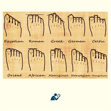 Ancestry Toe Chart