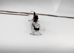 Open Source Architecture Manifesto At Istanbul Design Biennial