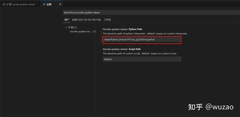 展示后缀名npz Npy Pkl Pthpydata文件的vscode插件vscode Pydata Viewer安装配置方法 知乎