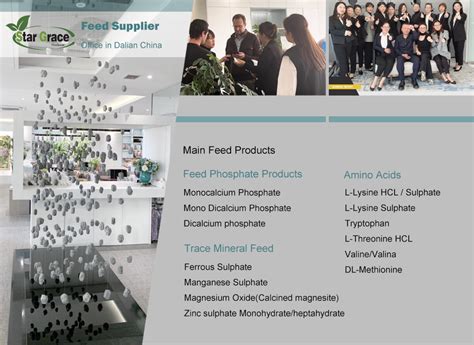 China Mcp In Poultry Feed Suppliers Producer Manufacturers Factory