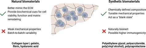 Advantages And Disadvantages Of Natural And Synthetic Biomaterials Download Scientific Diagram