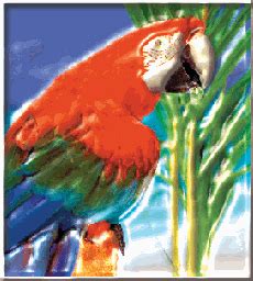 Curso gratis de CorelDraw X7 aulaClic 14 Imágenes