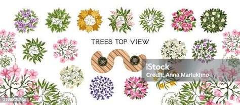 봄 꽃 나무와 벤치 건축 평면도 측근 디자인 조경 설계 계획을 위한 요소 다양한 꽃 나무 관목 및 관목 벡터 일러스트 레이 션