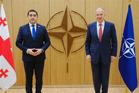 შალვა პაპუაშვილი ბრიუსელში ნატო ს გენერალური მდივნის მოადგილეს შეხვდა Kvira Ge