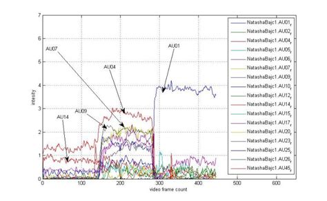 Facial Expressions Analysis Natasha Bajc